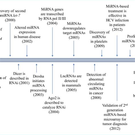 Key Findings In The Non Coding Rna Research With Mirna Based Diagnostic