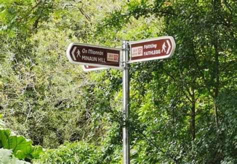 Directional Wayfinding Systems