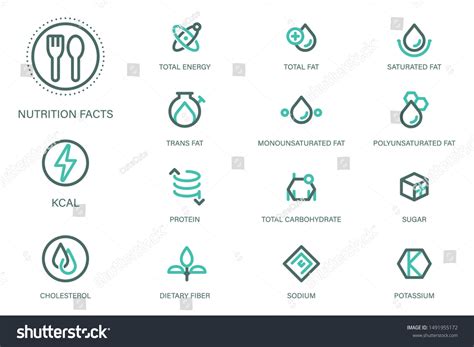 Nutrition Facts Icon Outline Style Suitable Stock Vector Royalty Free Shutterstock