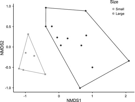 Nmds Plot The Insect Assemblage In The Patch Size Experiment Exp 2