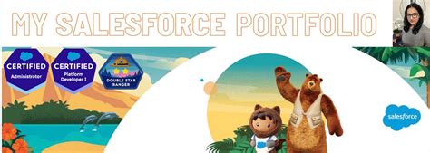 How To Create Online Portfolio In Salesforce Using Lightning Digital
