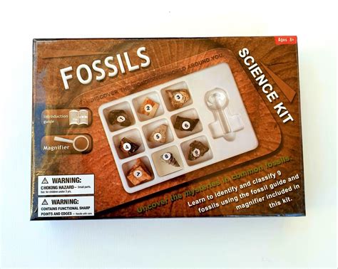 Fossils Science Kit Toy Network Australia