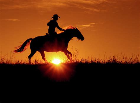 Sun Rider Photograph By Eva Bareis Fine Art America