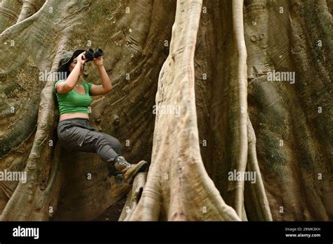 Pretty Asian Woman Watching Through Binoculars At Huge Tree Roots Stock Photo Alamy