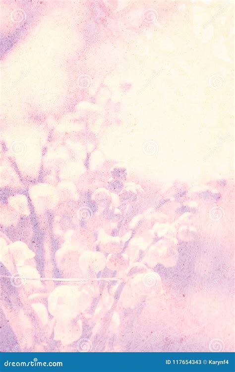 Bouquet Of Lily Of The Valley Blossoms Stock Image Image Of Fine Life