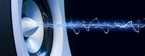 Bioacoustics