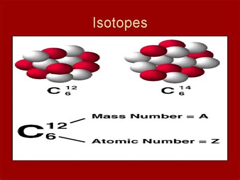 Atomic Structure Atoms True Or False An Atom