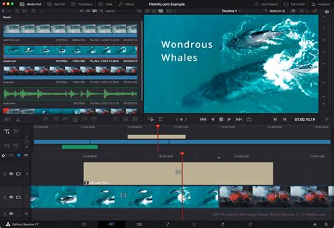 Drp File What Is A Drp File And How Do I Open It