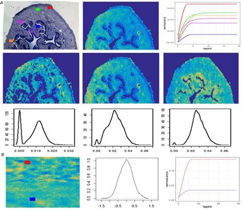 Comparison Of Statistical Distribution And Spatial Variograms