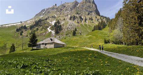 낮에는 푸른 하늘 아래 산 근처의 푸른 잔디밭에 있는 흰색과 갈색 집 사진 Unsplash의 무료 몰레종 아 바론 이미지