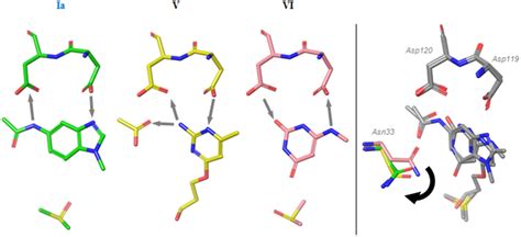 Fragment Binding Modes A Binding Modes Of Compounds 5 6 And 7 B