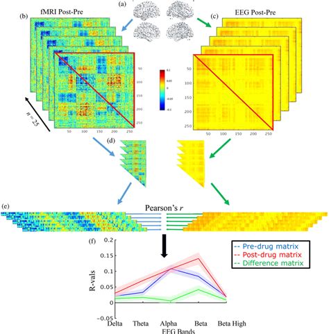 comparing whole‐brain connectomes from eeg and fmri an illustration of download scientific