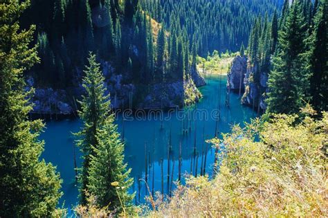 Lago Kaindy En La Montaña De Tien Shan Kazajistán Foto De Archivo