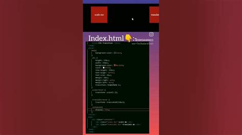 Css Transition Effect 4 Day 4 Of 100daysofcodechallenge Shorts