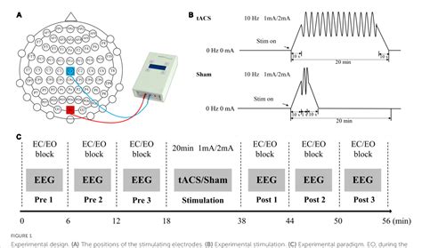 Figure 1 From The Influence Of Different Current Intensity Transcranial