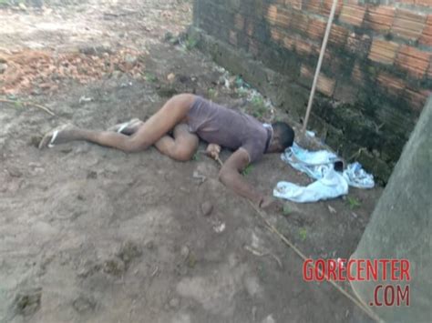 【閲覧注意】世界一チンコが大きい「ロバ」とsexした結果 死亡した人間の画像ヤバすぎだろ… ポッカキットポッカキット