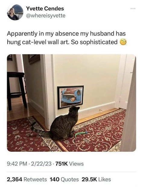 Proven Fact Animal Photos Are Meme Worthy 22 Pics