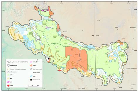 An Ecoregional Conservation Assessment For Forests And Woodlands Of The