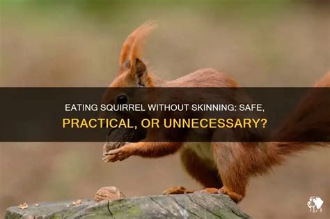 Eating Squirrel Without Skinning Safe Practical Or Unnecessary
