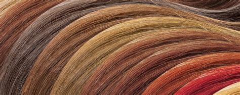 Ranked Different Hair Colors Illuminating Facts