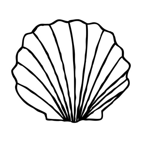 Thin Shell Vectors And Illustrations For Free Download