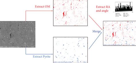 Typical Image Processing Procedures Download Scientific Diagram