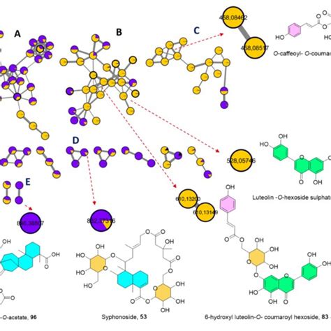 the enlarged negative molecular network created using ms ms data