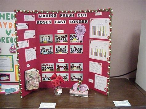 Girly Science Fair