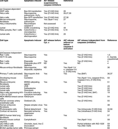 Evidence In Favor Of A A Caspase Dependent And A B Download Table