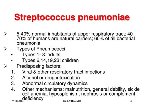 Ppt Streptococcus Pneumoniae Pneumococcus Powerpoint Presentation