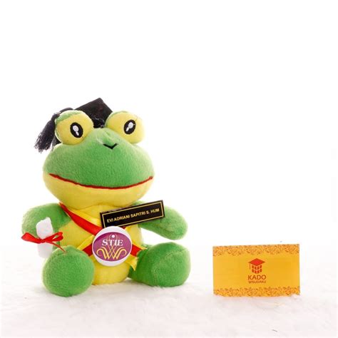 Jual Hadiah Wisuda Boneka Keroppi S Jogja 0858 7874 9975