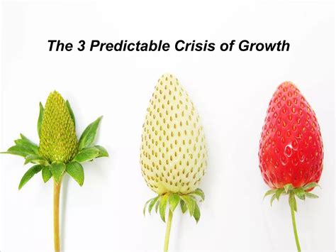 The Founders Mentality Pdf