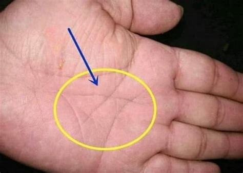 손바닥 펼쳤을 때 삼각형 모양 가진 삼각문 손금 가지고 있다면 함성부터 질러야 합니다 심리테스트 해볼래