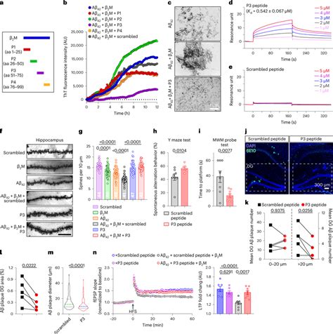 Blocking β2m Aβ Coaggregation Abrogates Aβ Aggregation And