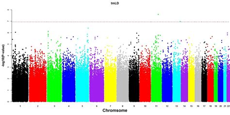 the manhattan plot for gwas scanning using the two marker ld mapping