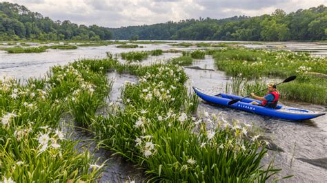 Paddling The Tallapoosa River