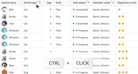 Javascript Datagrid Datatable Ui Widget Dhtmlx Grid