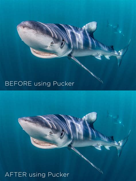 Retouching For Good Or Evil With Photoshops Liquify Filter Go Ask Erin