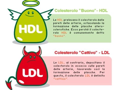 Colesterolo Hdl E Totale