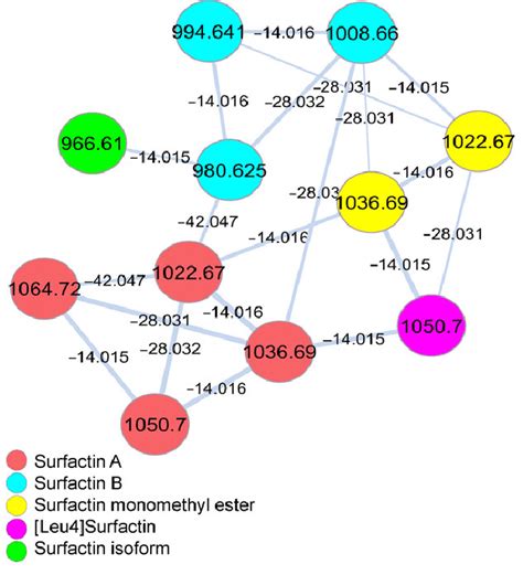 Molecular Networking Generated When The Five Selected Samples Of Download Scientific Diagram