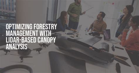 Optimizing Forestry Management With Lidar Based Canopy Analysis