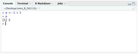 RStudio And R Notebooks Introduction To R For Bioinformatics