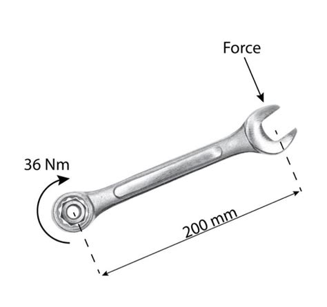 solved from the image below calculate the force in newtons