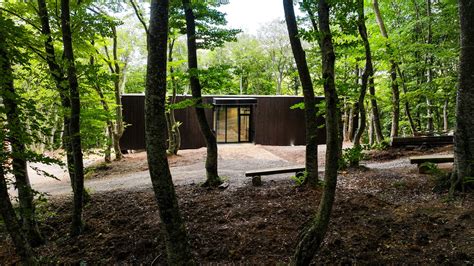 საქართველოს თბილისის ეროვნული პარკის რეაბილიტაცია სრულდება 🌳თბილისის ეროვნული პარკი თბილისთან