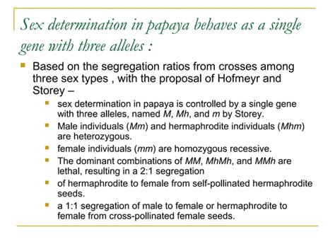 Sex Determination In Papaya Ppt Sex Determination In Papaya Ppt
