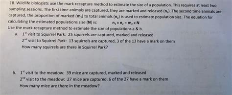 Solved 18 Wildlife Biologists Use The Mark Recapture Method