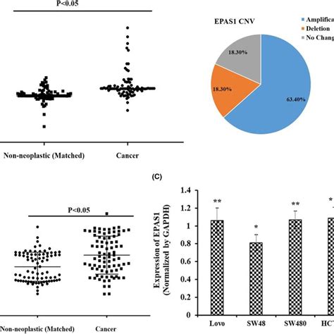 Correlation Amongst Epas1 Copy Number Variation Expression Of Mrna And Download Scientific