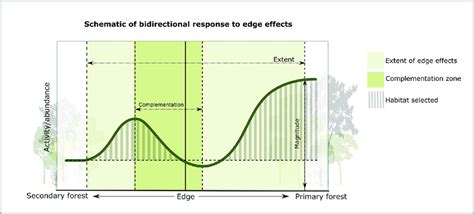 Schematic Of Bidirectional Response To Edge Effects A Theoretical Download Scientific Diagram