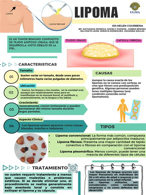 Lipomas Tipos Causas Y Características Pdf Cáncer Anatomía