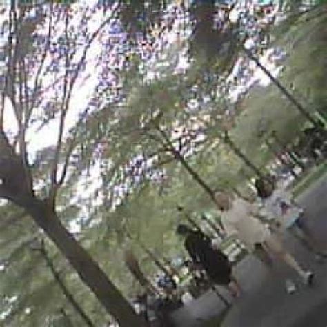 People Object Detection Dataset V2 2024 01 22 7 44pm By Luca